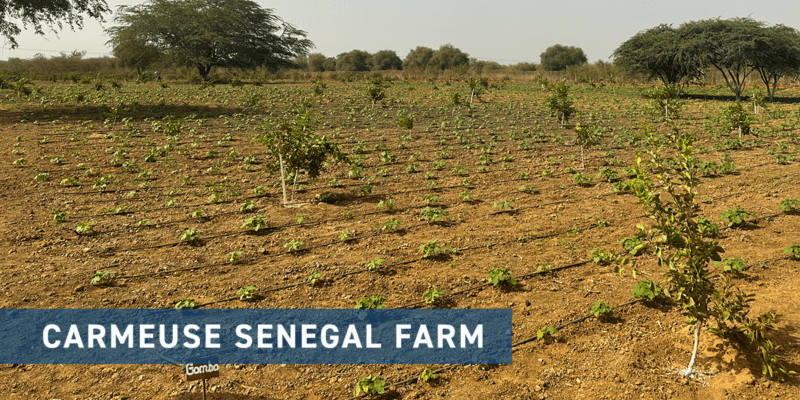 News – Carmeuse Overseas